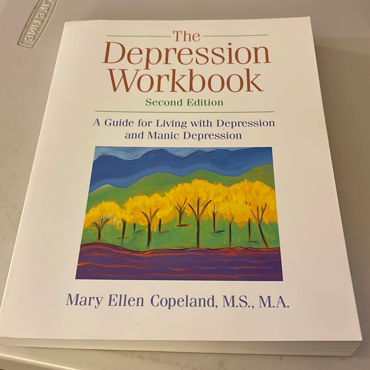 The Depression Workbook by Mary Ellen Copeland