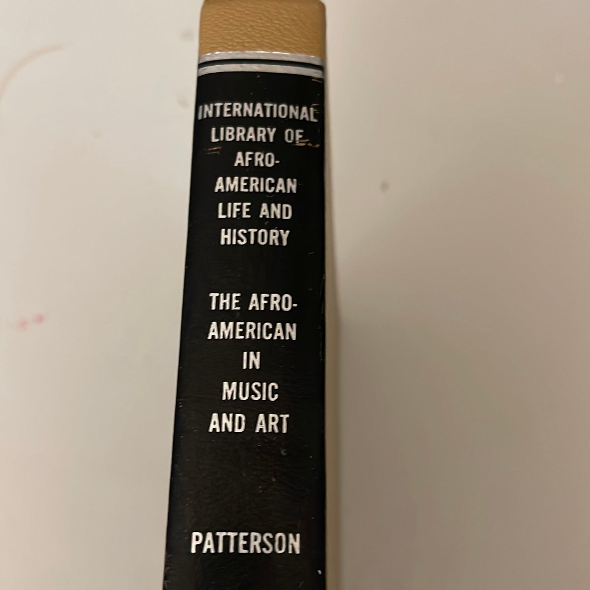 International Studies by Sheldon Anderson, Mark Allen Peterson, Stanley ...