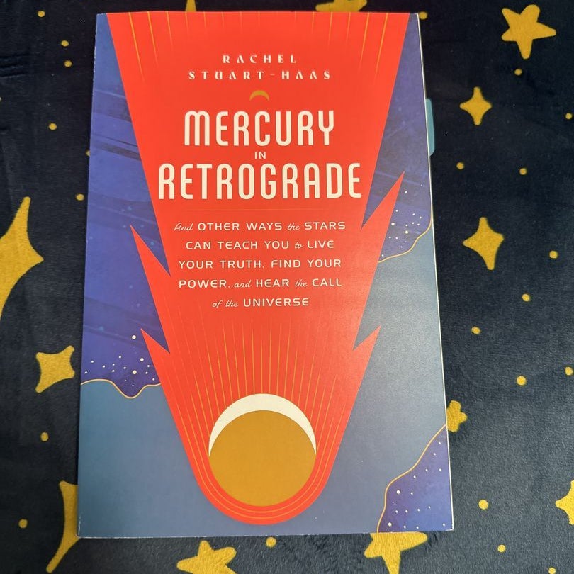 Rachel in the World by Jane Bernstein