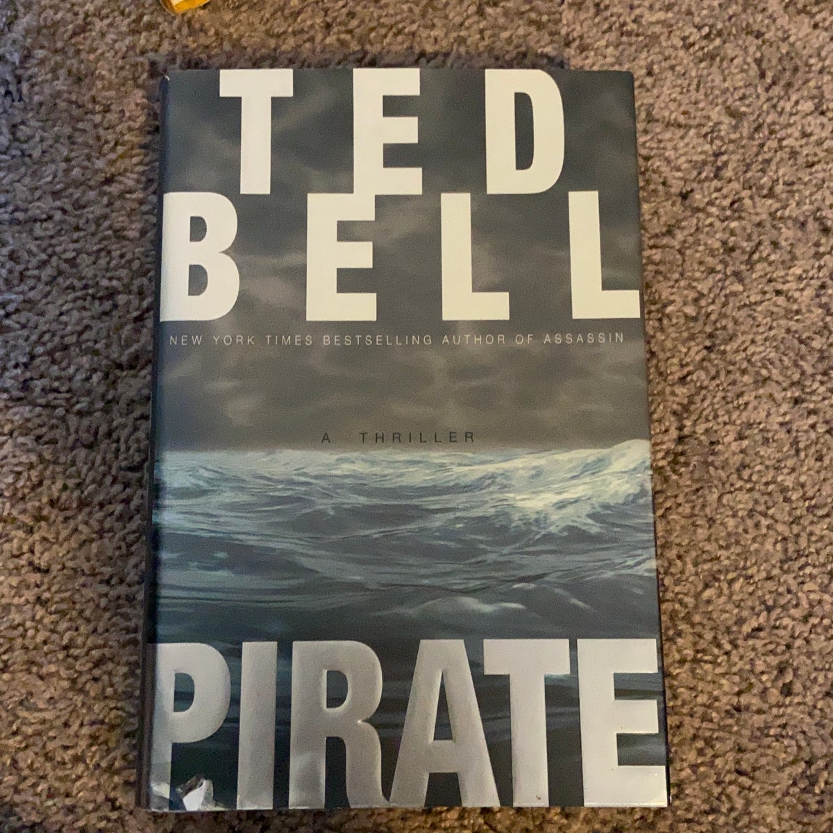 Pirate by Ted Bell, Hardcover | Pangobooks