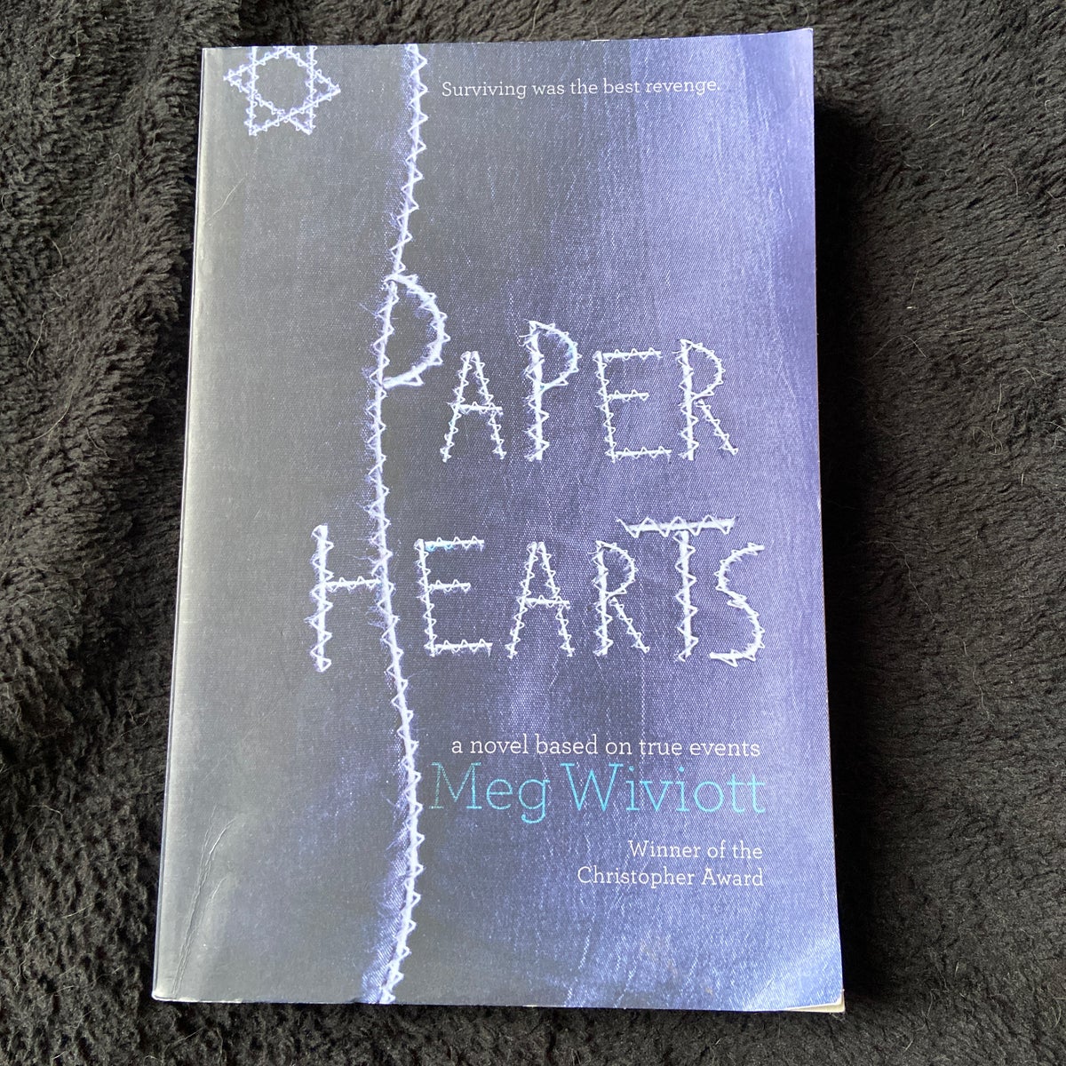 Paper Hearts by Meg Wiviott