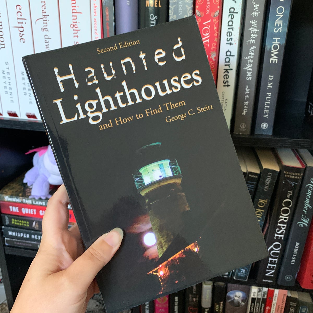 Haunted Lighthouses by George Steitz