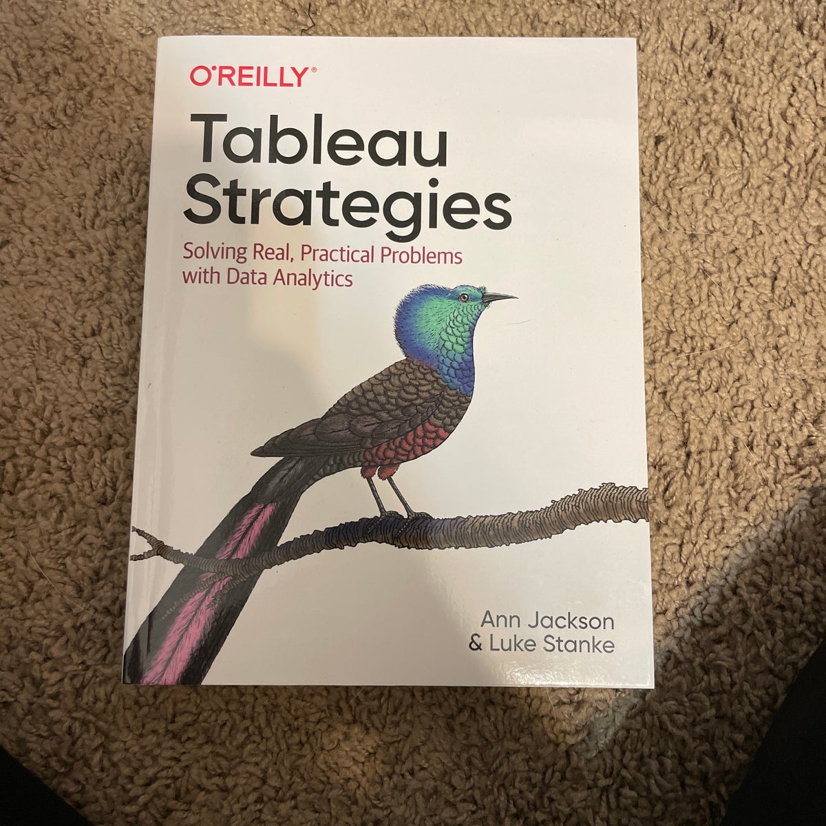 Tableau Strategies by Ann Jackson, Luke Stanke