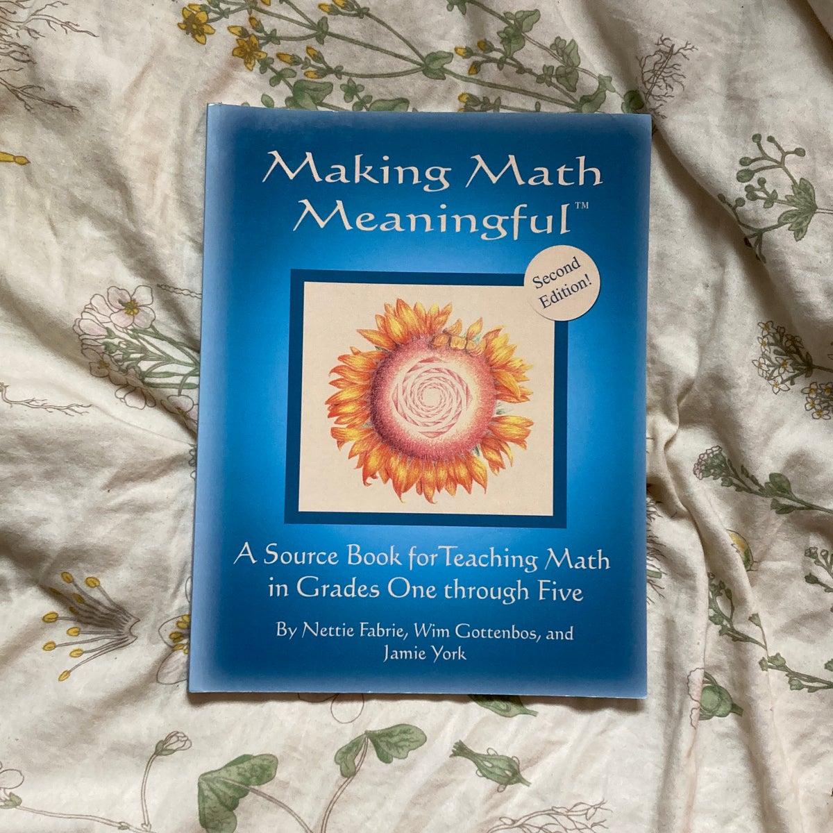 Making Math Meaningful by Jamie York, Nettie Fabrie, Wim Gottenbos