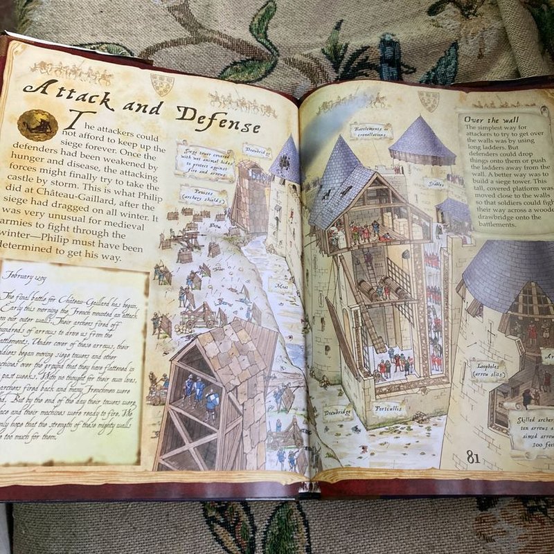 The Medieval Chronicles by Fiona Macdonald, Hardcover | Pangobooks