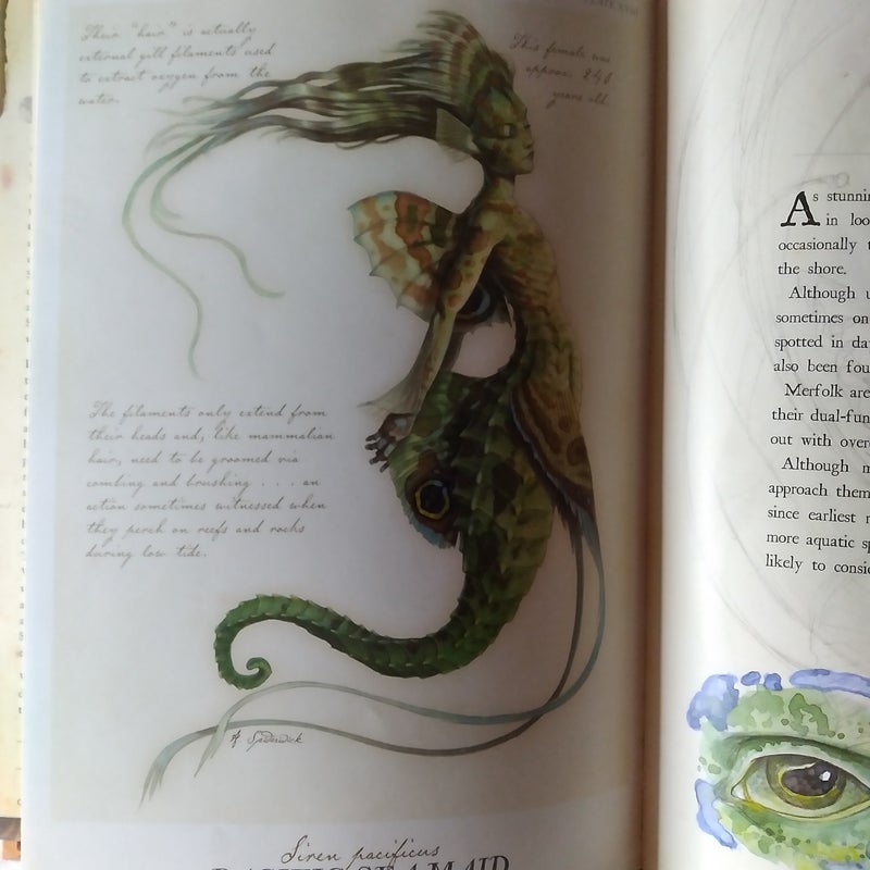 Arthur Spiderwick's Field Guide to the Fantastical World Around You