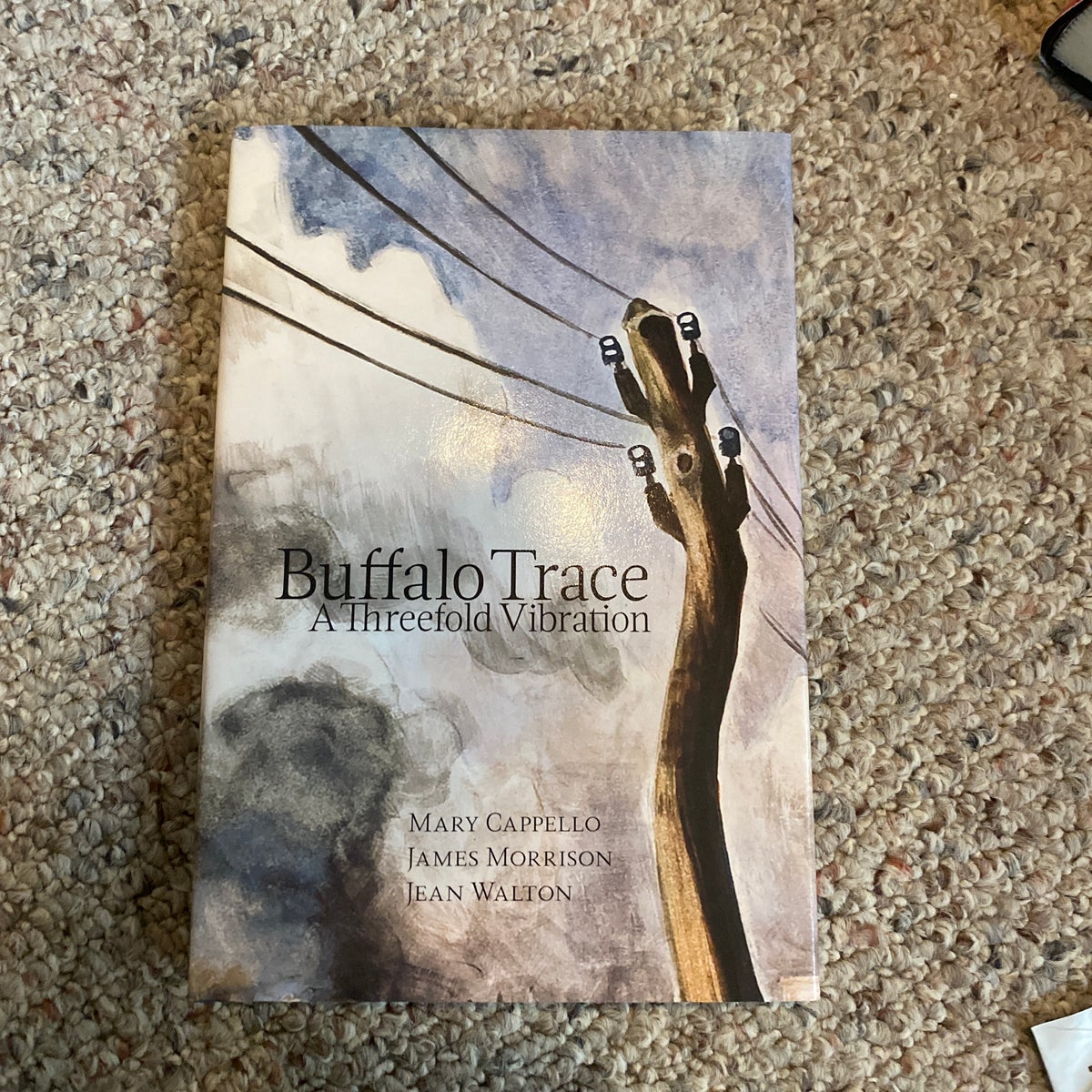 Buffalo Trace by Mary Cappello, James Morrison, Jean Walton