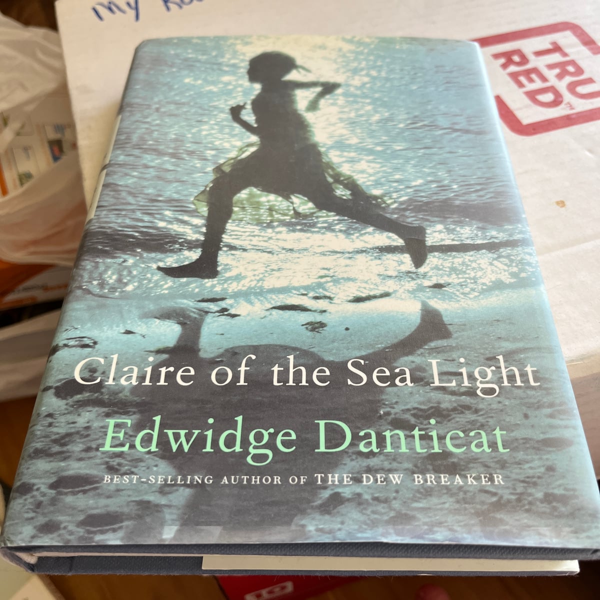 Claire of the Sea Light