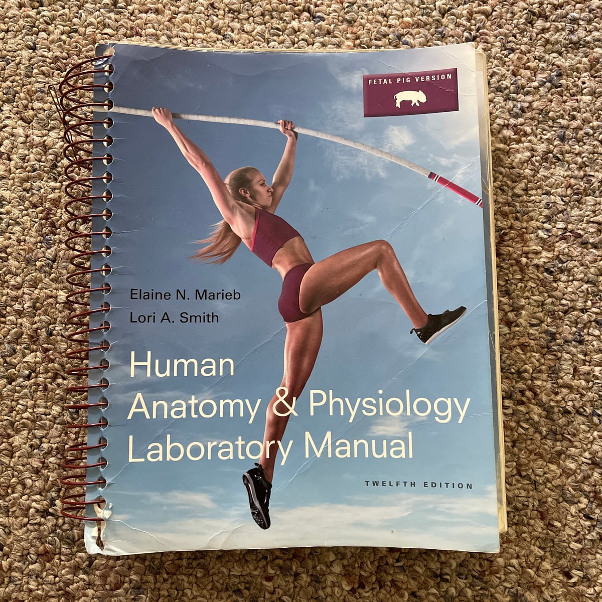 Human Anatomy and Physiology Laboratory Manual, Fetal Pig Version by ...