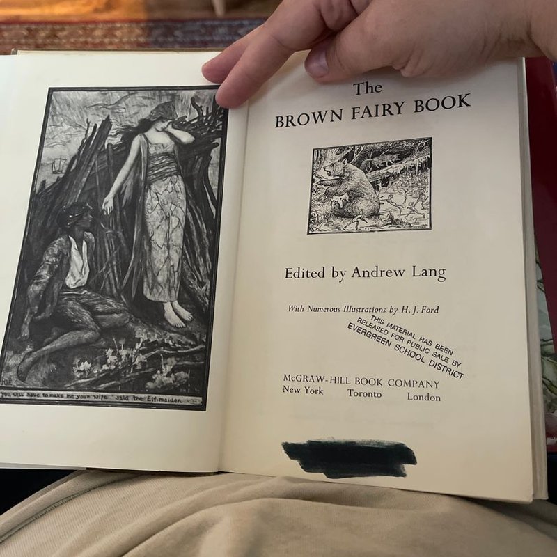 The Brown Fairy Book by Andrew Lang, Hardcover | Pangobooks