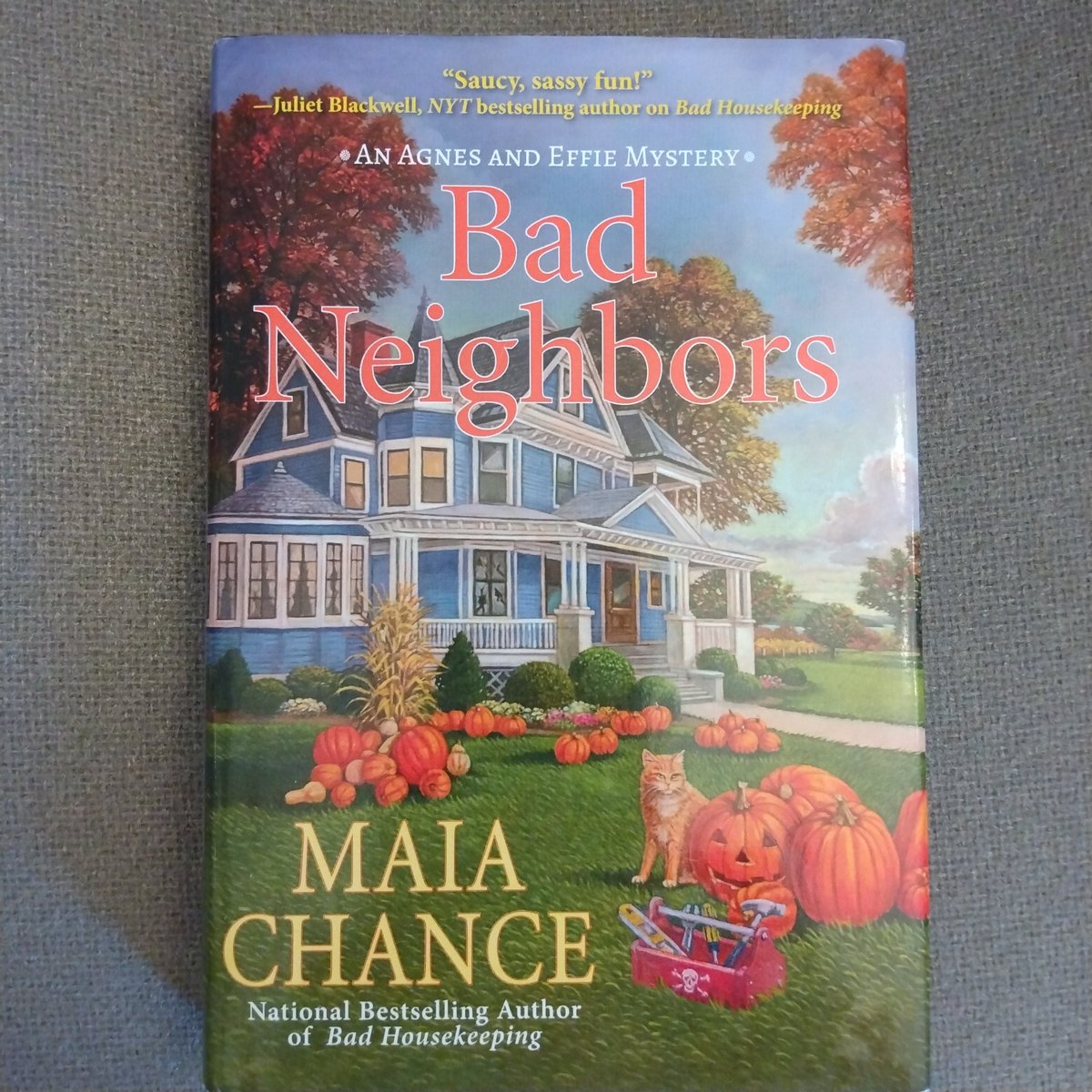 Bad Neighbors by Maia Chance