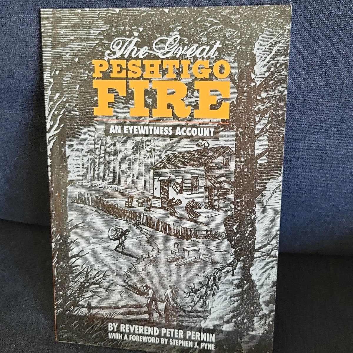 The Great Peshtigo Fire by Peter Pernin