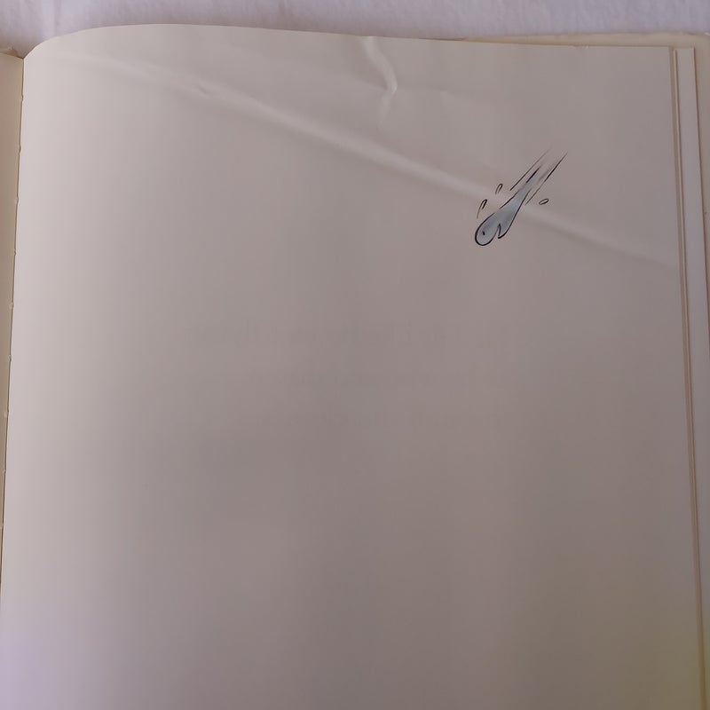 The Falling Raindrop