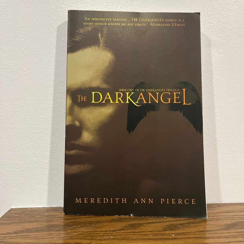 The Darkangel by Meredith Ann Pierce, Paperback | Pangobooks