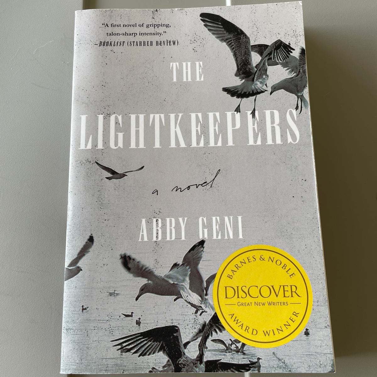 The Lightkeepers by Abby Geni