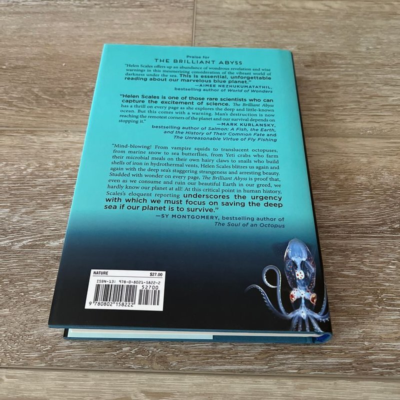 The Brilliant Abyss by Helen Scales, Hardcover | Pangobooks