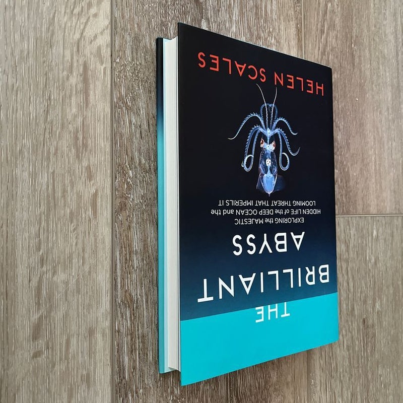 The Brilliant Abyss by Helen Scales, Hardcover | Pangobooks