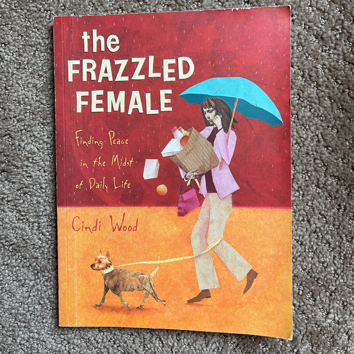 The Frazzled Female Bible Study by Cindi Wood
