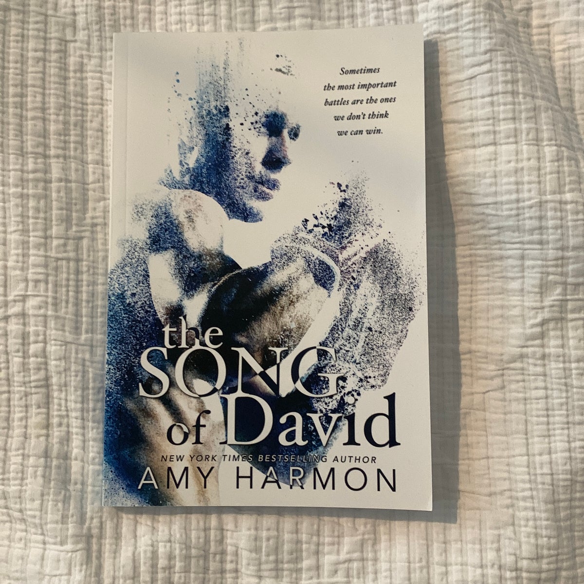 The Song of David by Amy Harmon