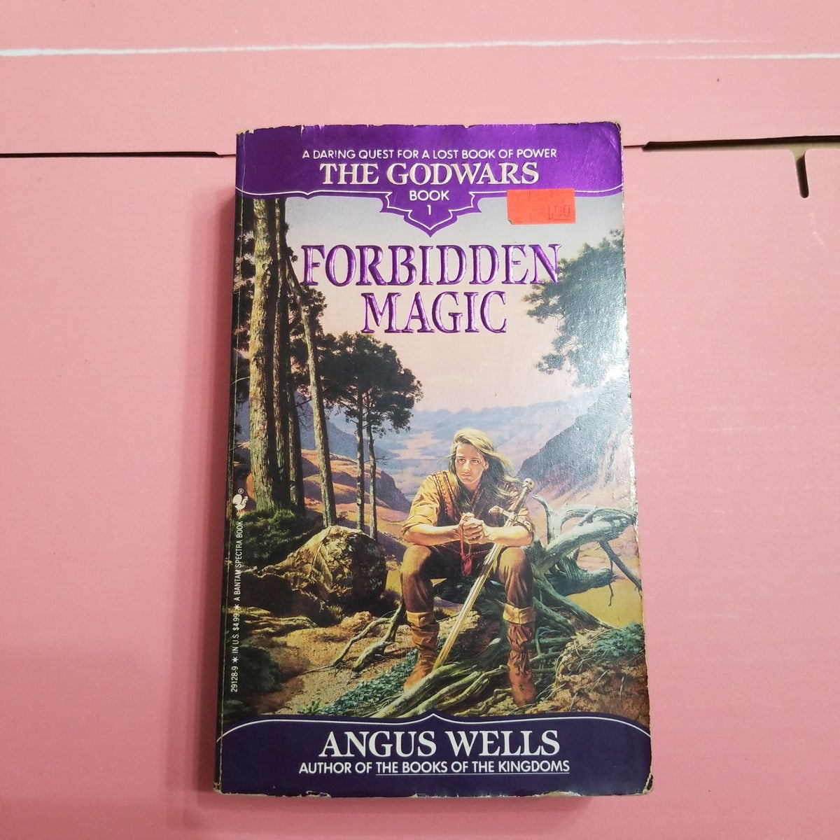 Forbidden Magic by Angus Wells, Robin Weaver
