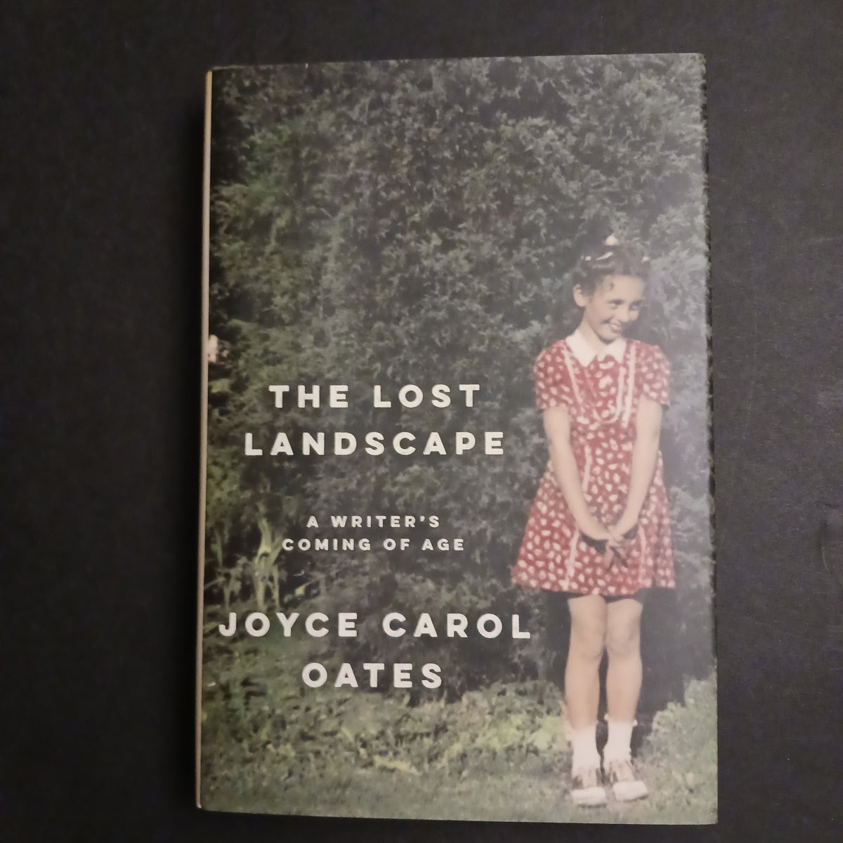 The Lost Landscape by Joyce Carol Oates, Hardcover | Pangobooks