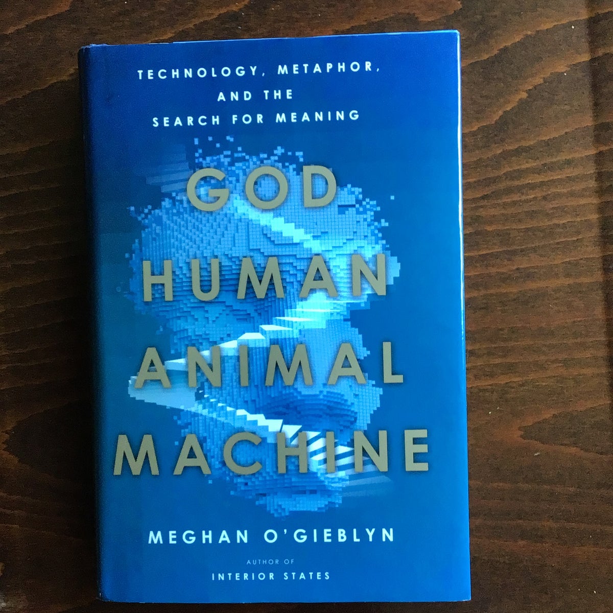 God, Human, Animal, Machine by Meghan O'Gieblyn