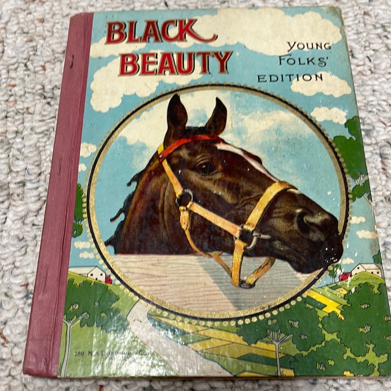 Black beauty by Anna Sewell , Hardcover | Pangobooks