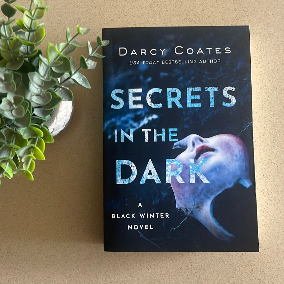 Secrets in the Dark by Darcy Coates