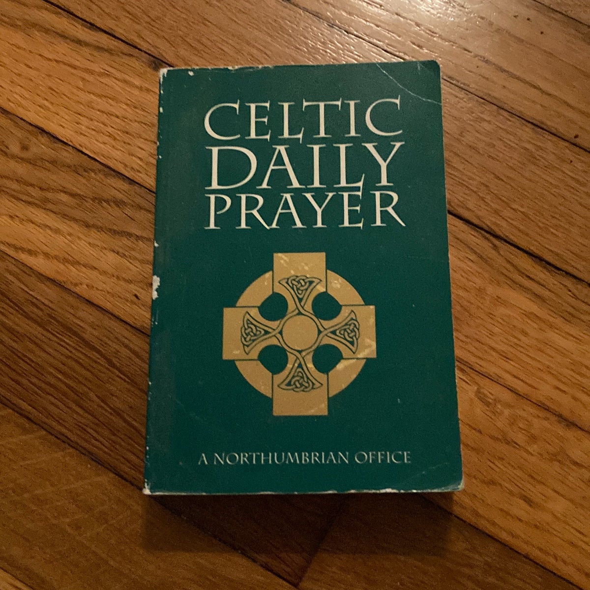 Celtic Daily Prayer by John Skinner, Andy Raine