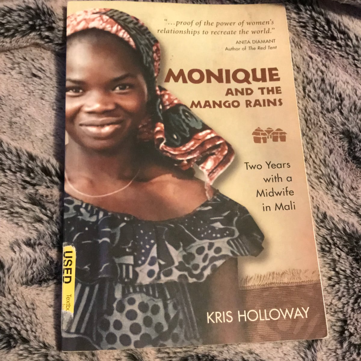 Monique and the Mango Rains by Kris Holloway