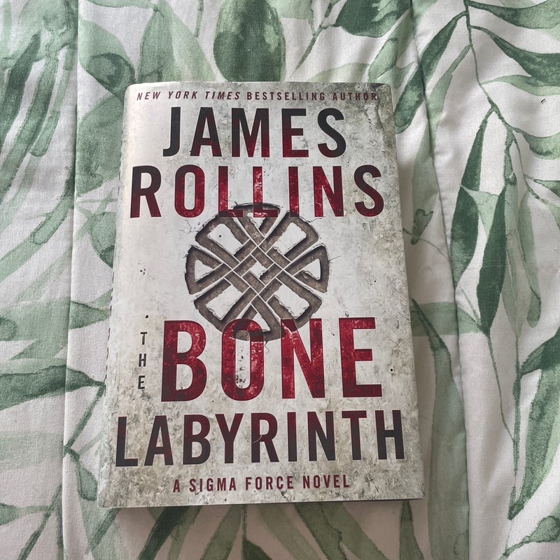 The Bone Labyrinth by James Rollins, Hardcover | Pangobooks