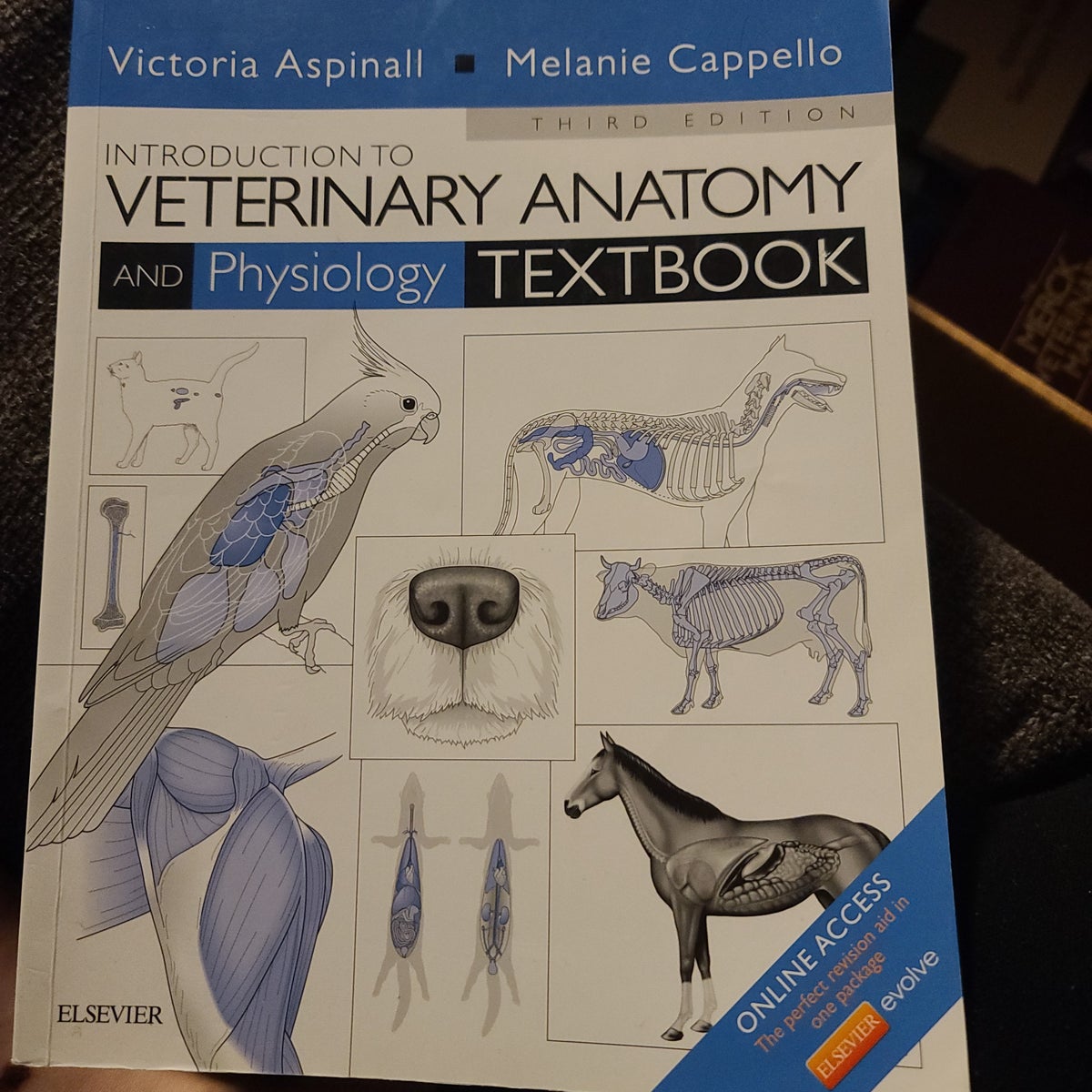 Introduction to Veterinary Anatomy and Physiology Textbook by Victoria ...