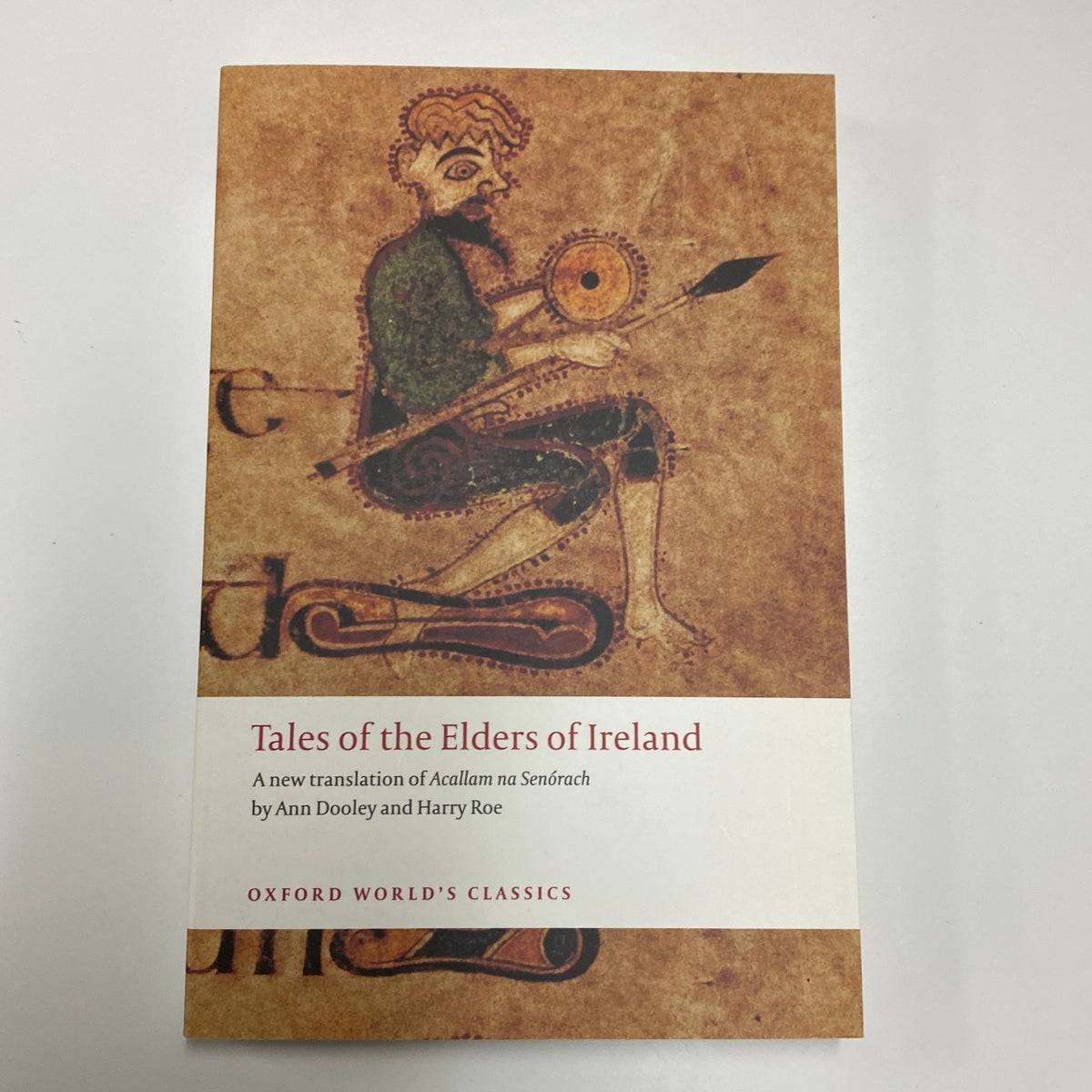 Tales of the Elders of Ireland by Ann Dooley, Harry Roe