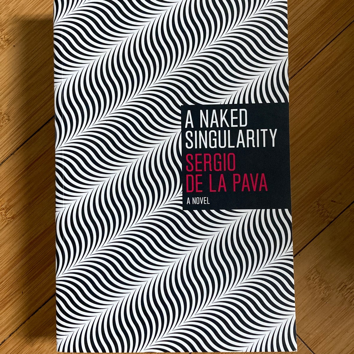 A Naked Singularity by Sergio De La Pava