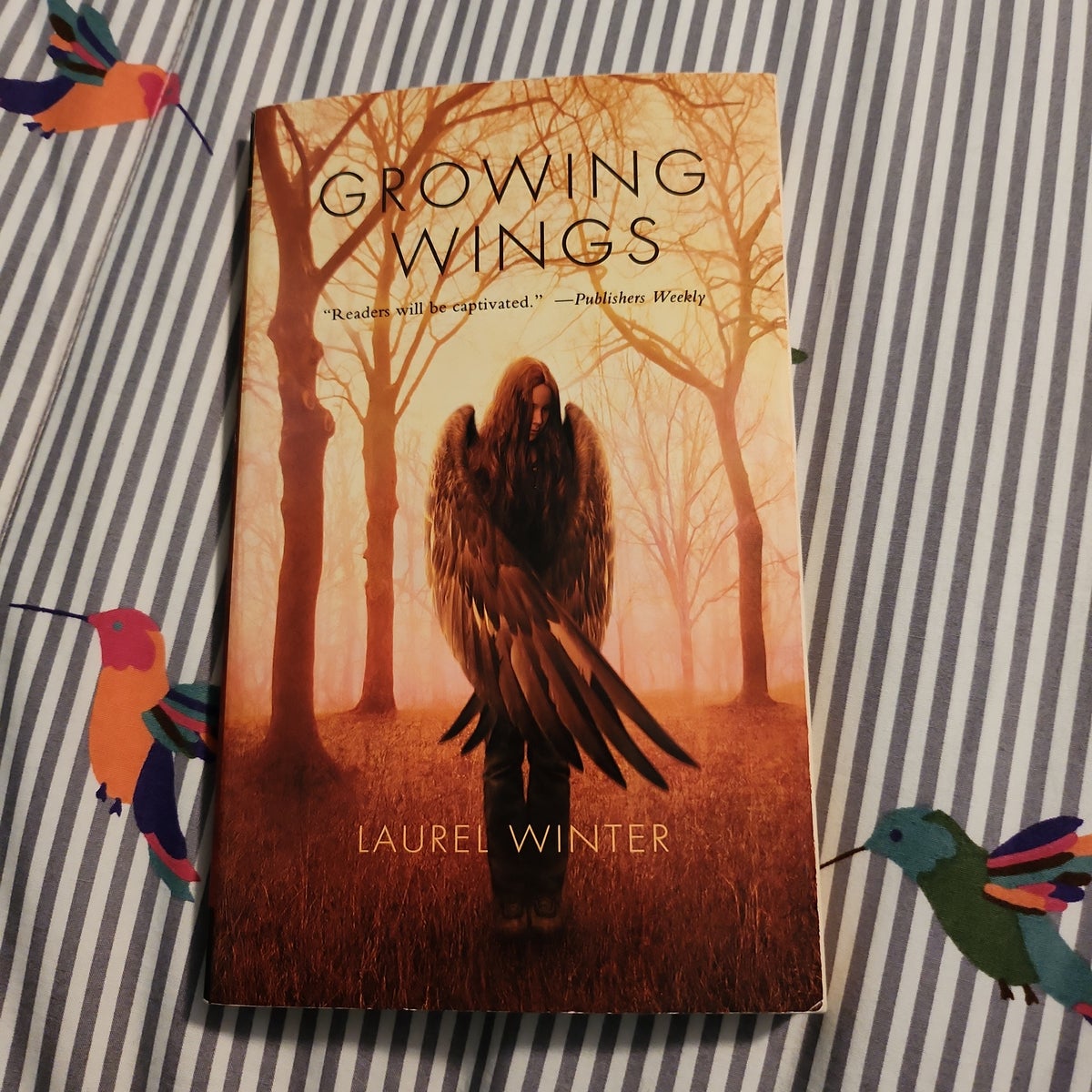 Growing Wings by Laurel Winter