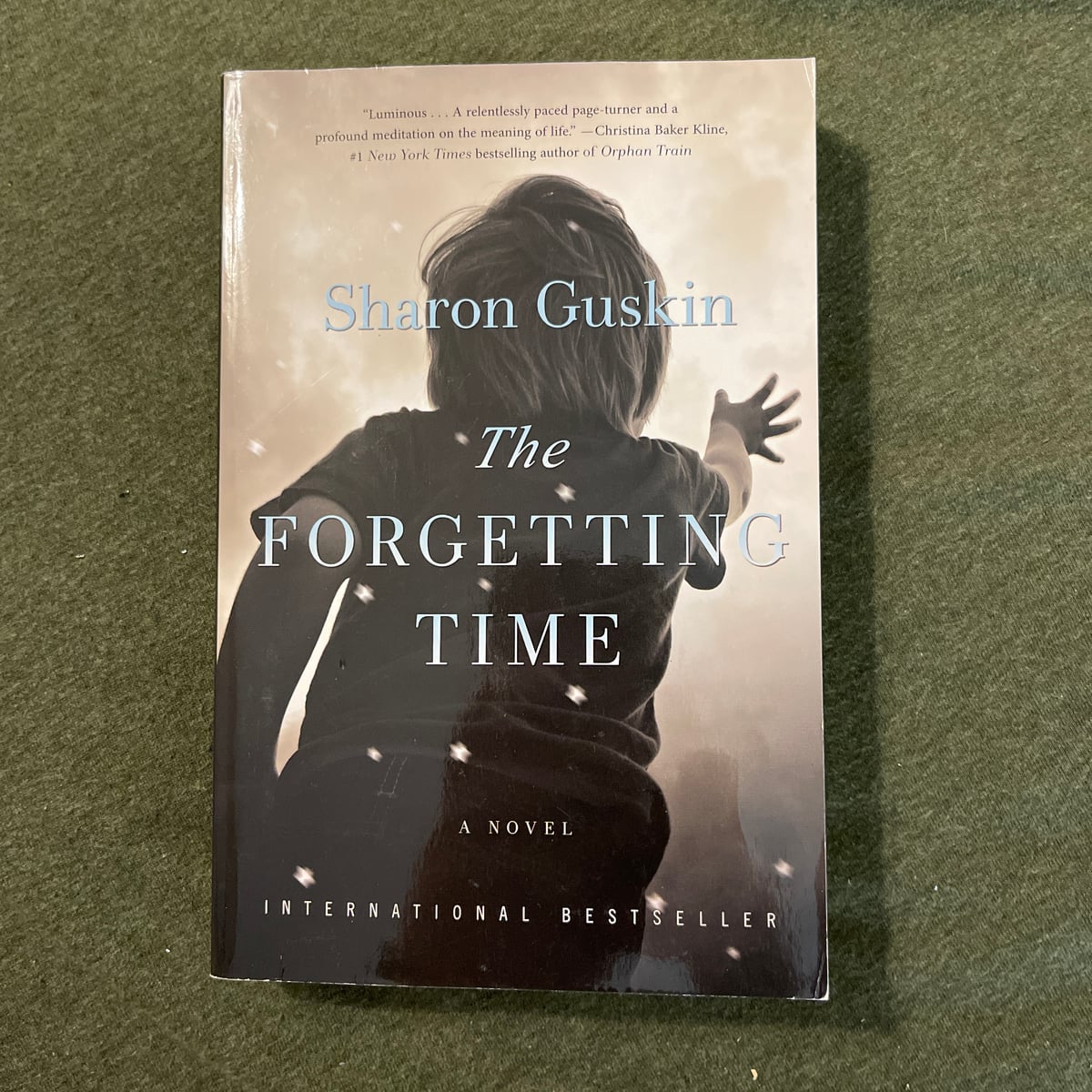 The Forgetting Time by Sharon Guskin