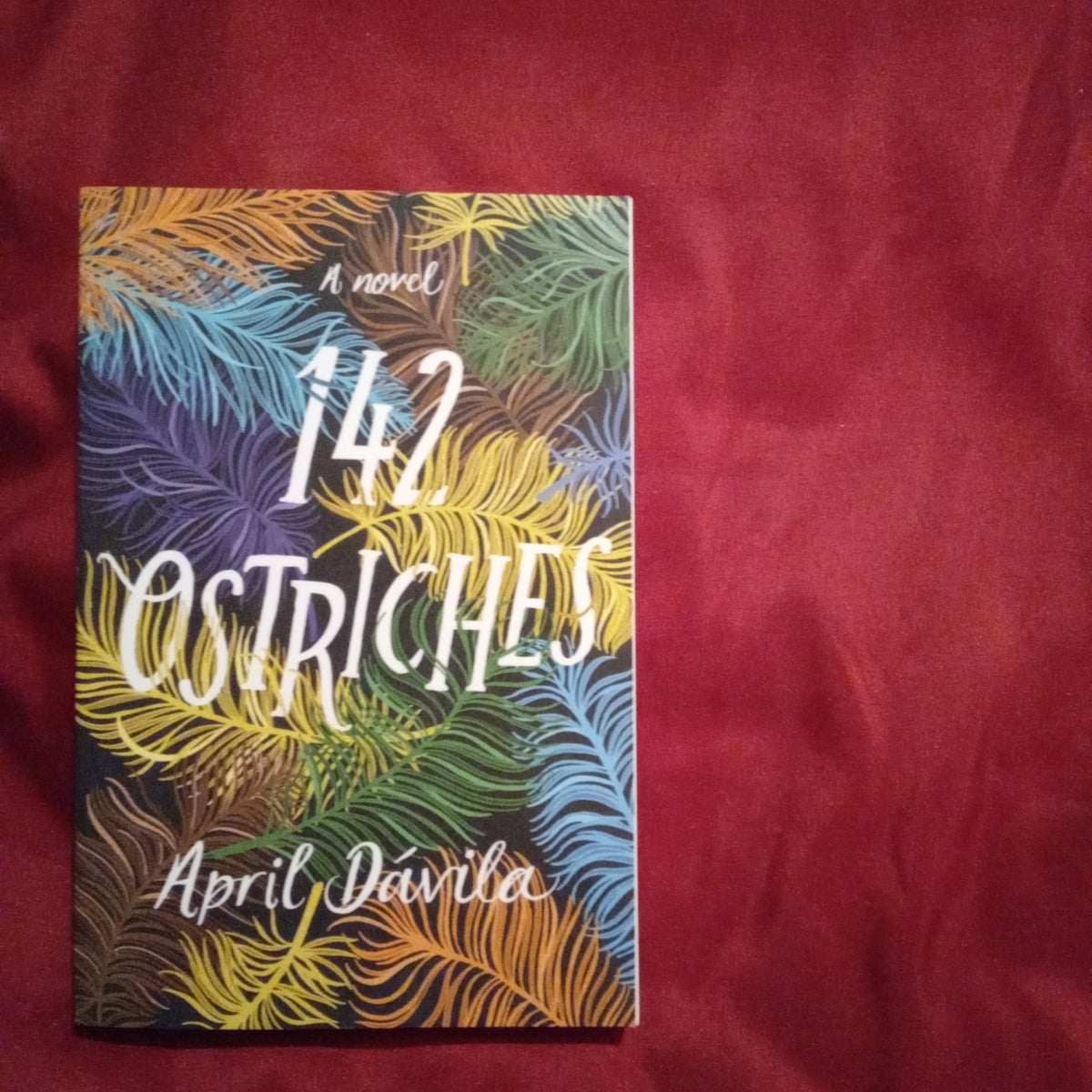142 Ostriches by April Davila, Paperback | Pangobooks