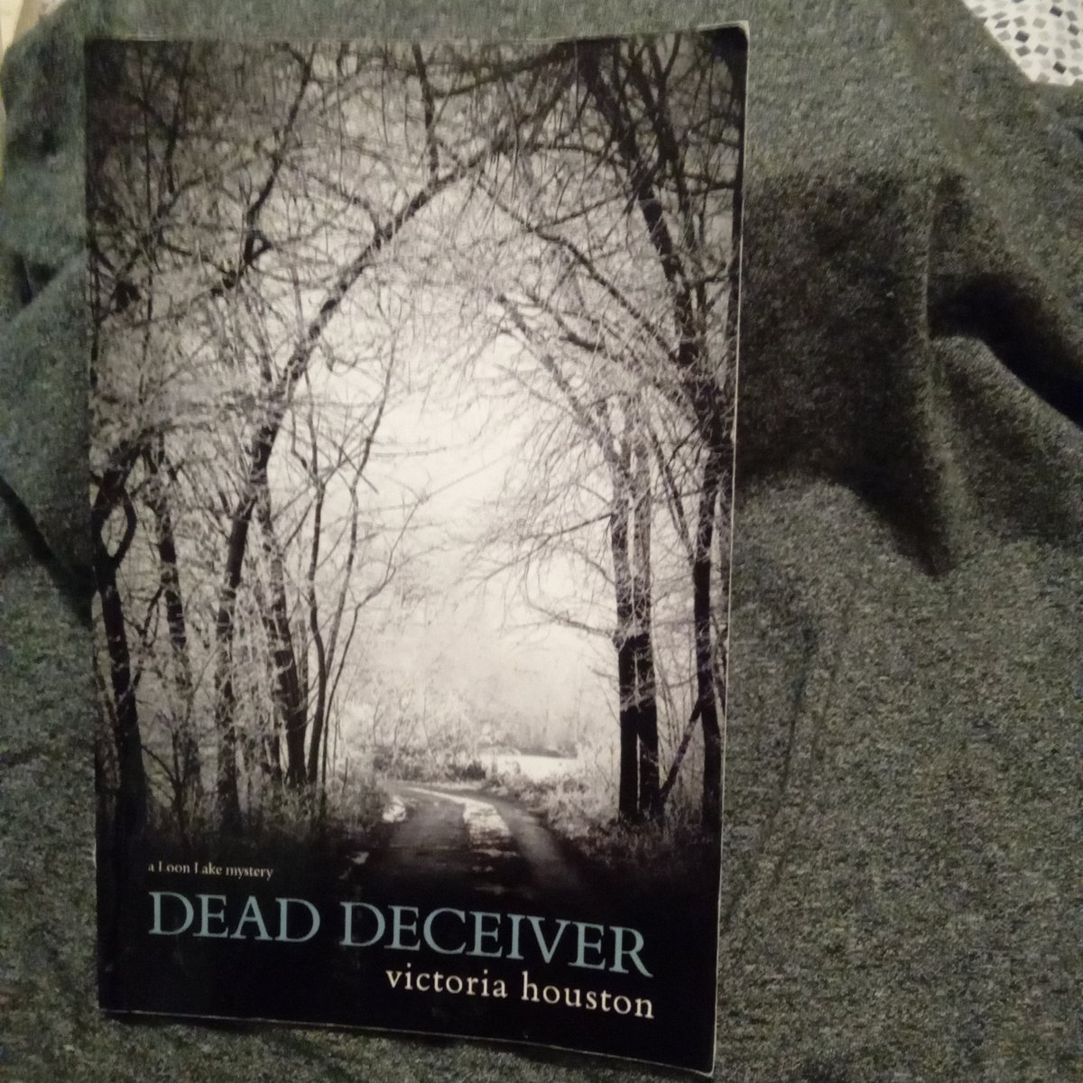 Dead Deceiver by Victoria Houston