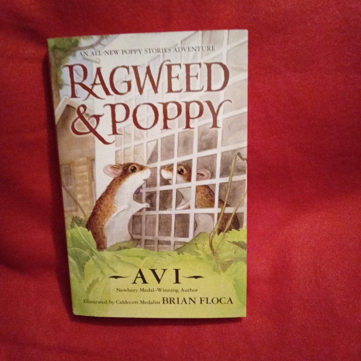 Ragweed and Poppy
