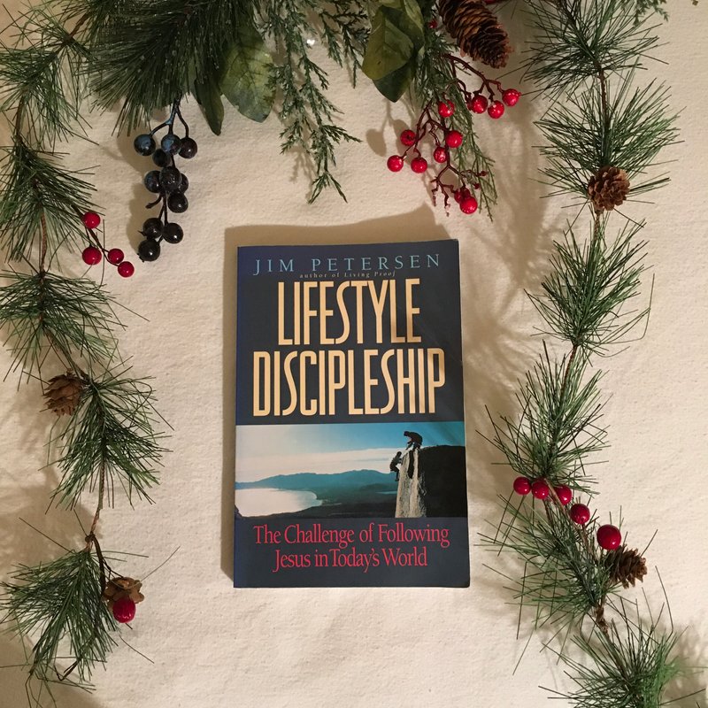 Lifestyle Discipleship by Jim Petersen, Paperback | Pangobooks