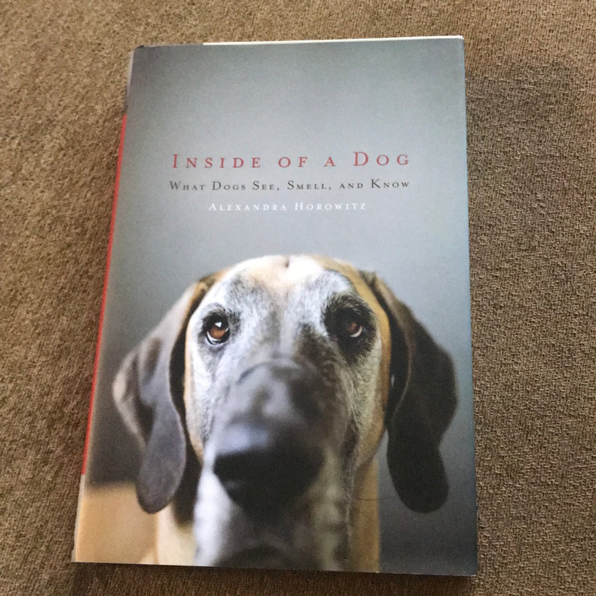 Inside of a Dog by Alexandra Horowitz