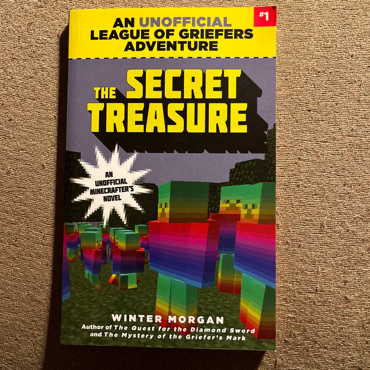 The Secret Treasure by Winter Morgan