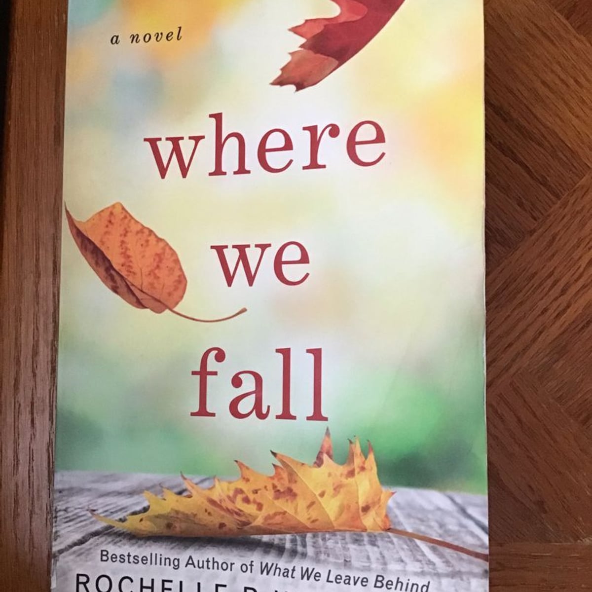 Where We Fall by Rochelle B. Weinstein