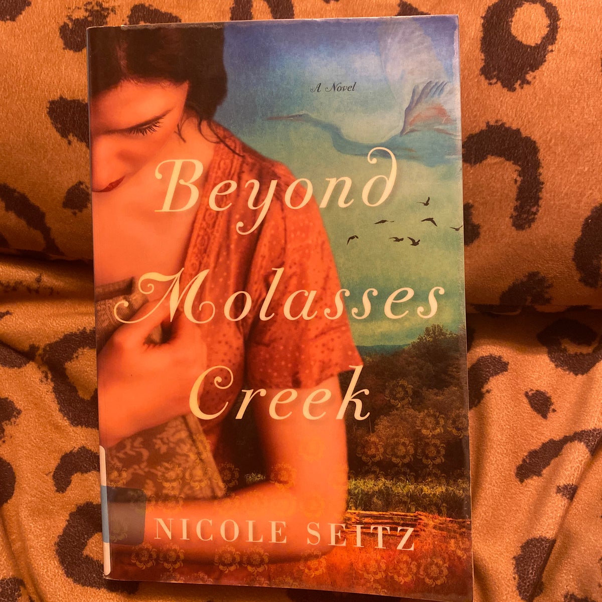 Beyond Molasses Creek by Nicole Seitz