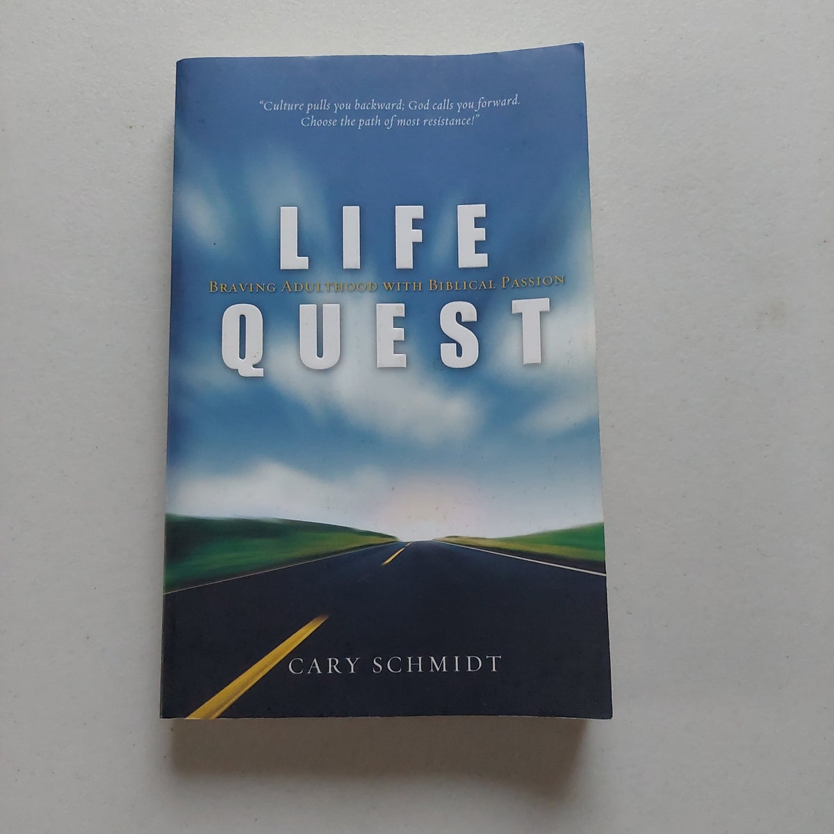 Life Quest by Cary Schmidt