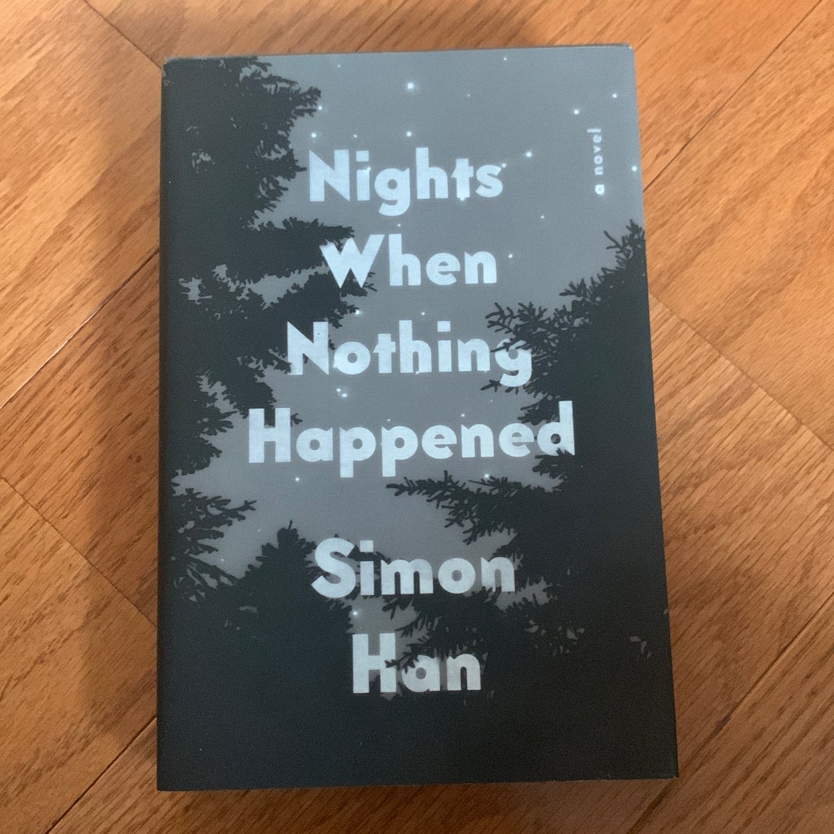 Nights When Nothing Happened by Simon Han
