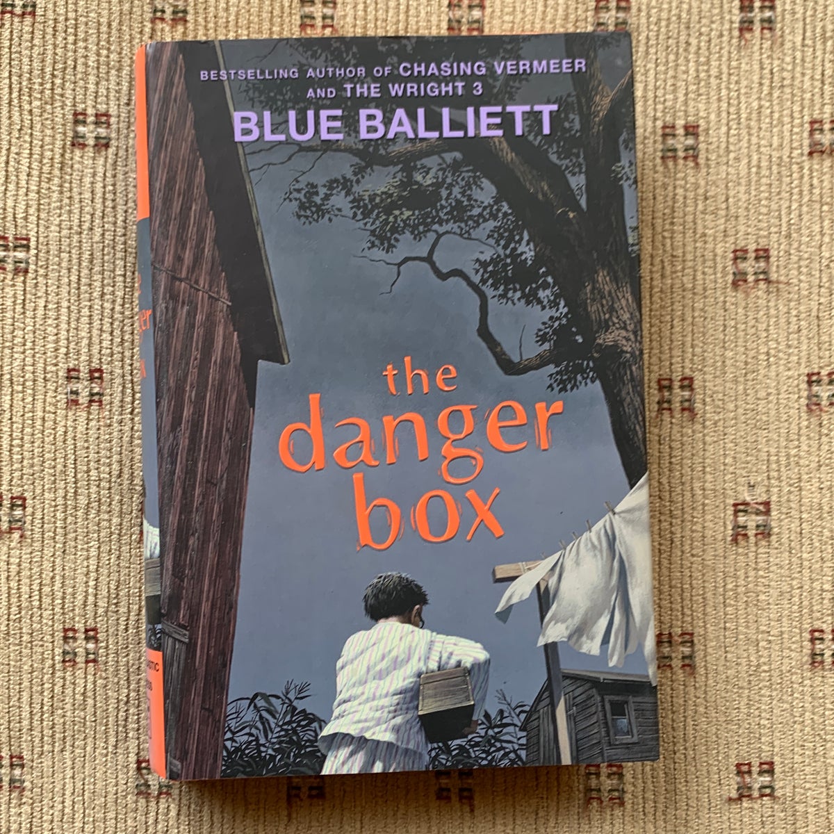 The Danger Box by Blue Balliett