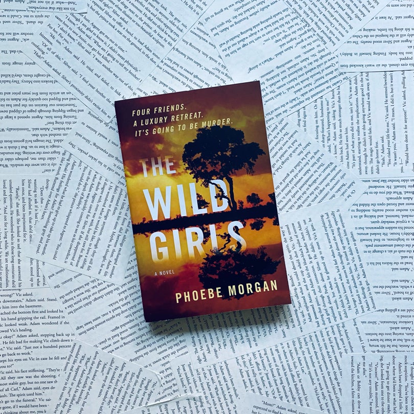 The Wild Girls by Phoebe Morgan