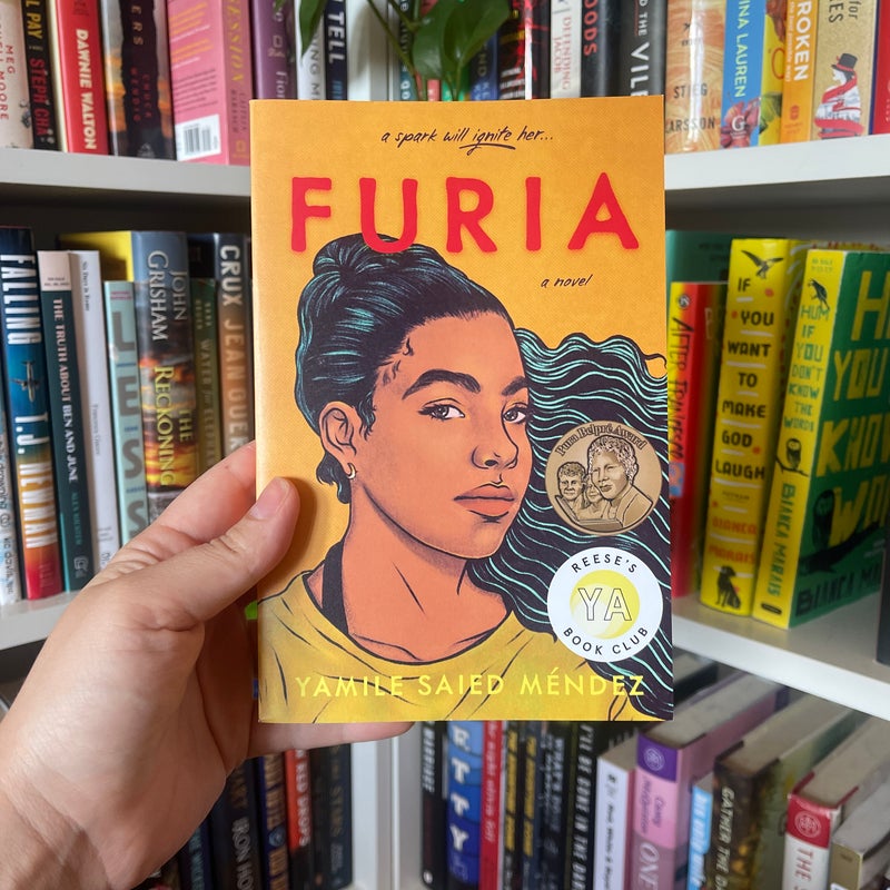 Furia by Yamile Saied Méndez, Paperback | Pangobooks