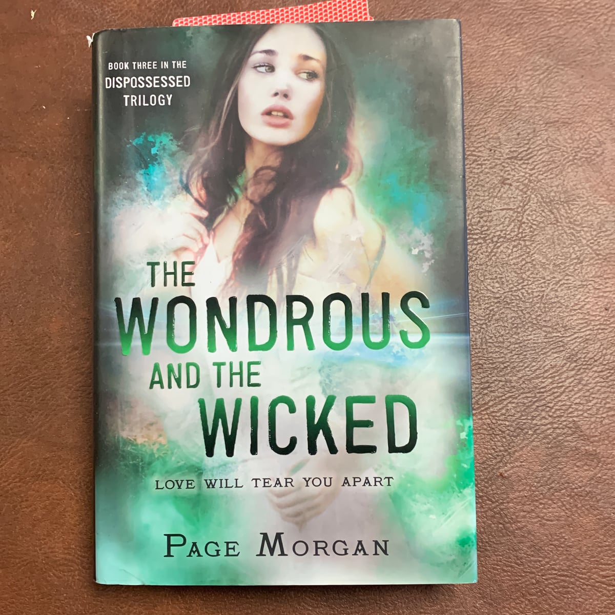 The Wondrous and the Wicked by Page Morgan, Hardcover | Pangobooks